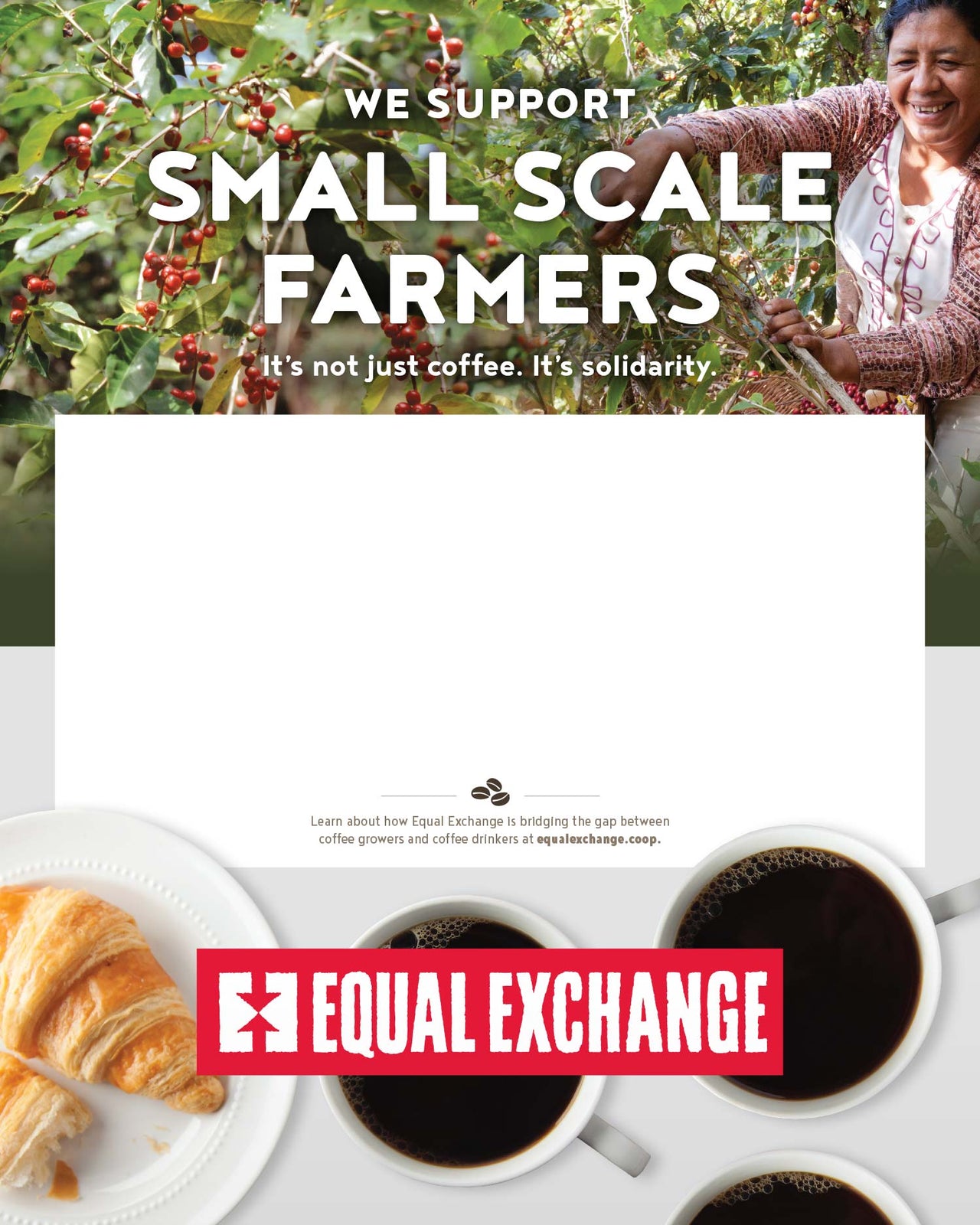 All Products – Equal Exchange